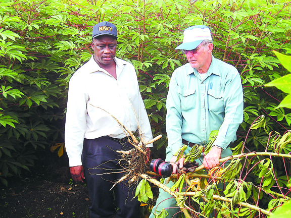 Agriculture In Barbados At The CrossroadsAgriculture In Barbados At The ...