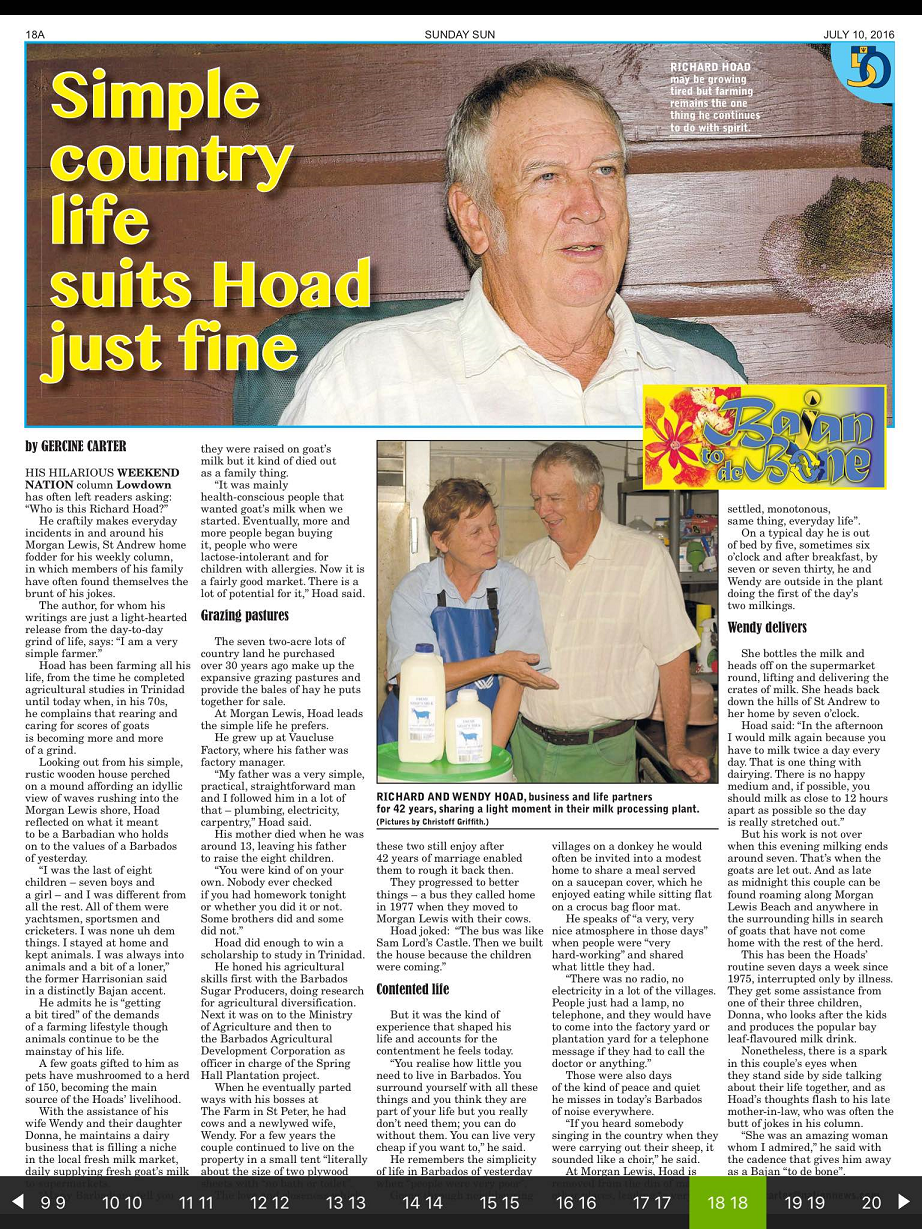 hoadhoadBringing News and Opinions to the People