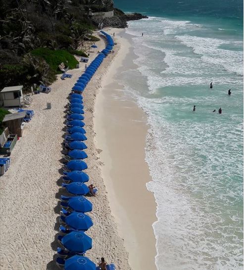 CraneBeachCraneBeachBringing News and Opinions to the People