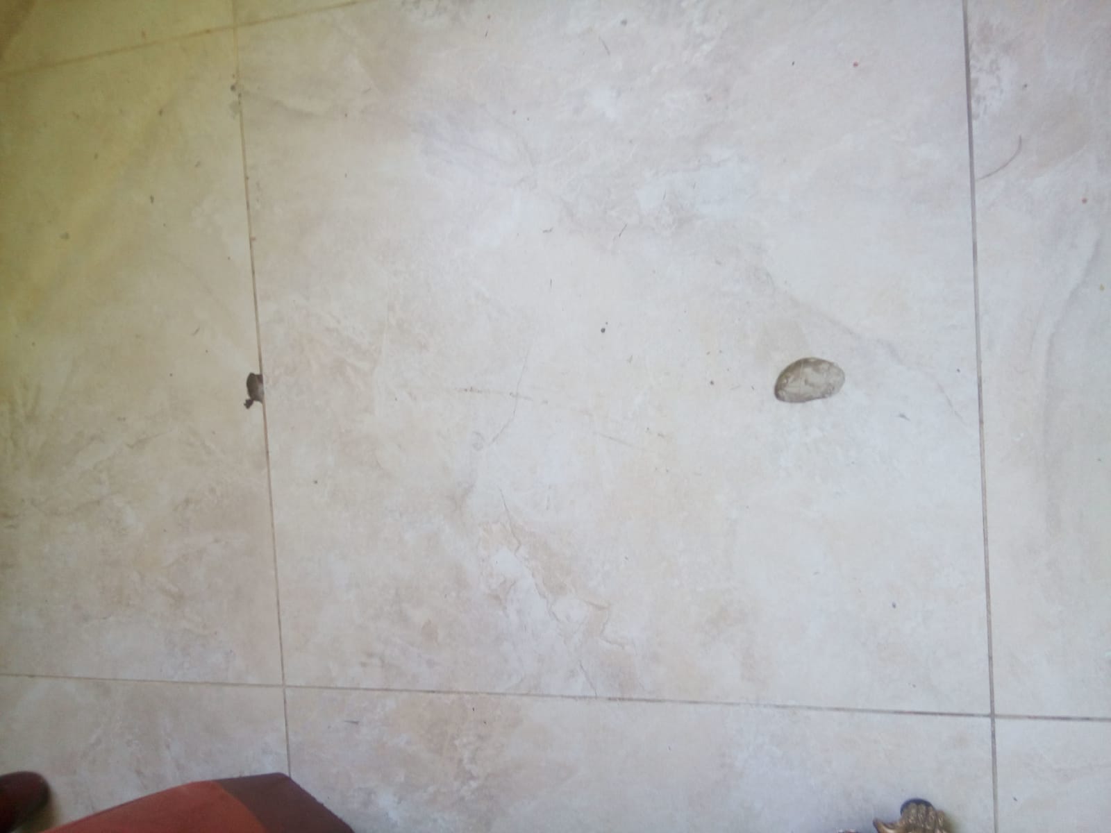 Example of floor tiles falling into disrepairExample of floor tiles ...