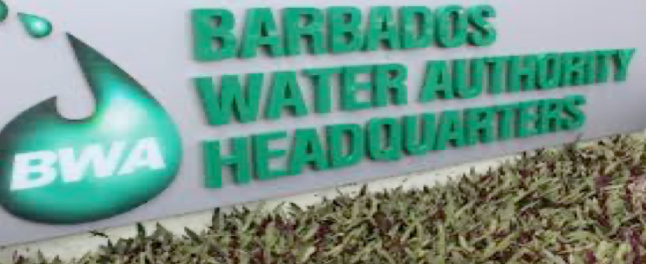 Water RunningWater RunningBringing News and Opinions to the People